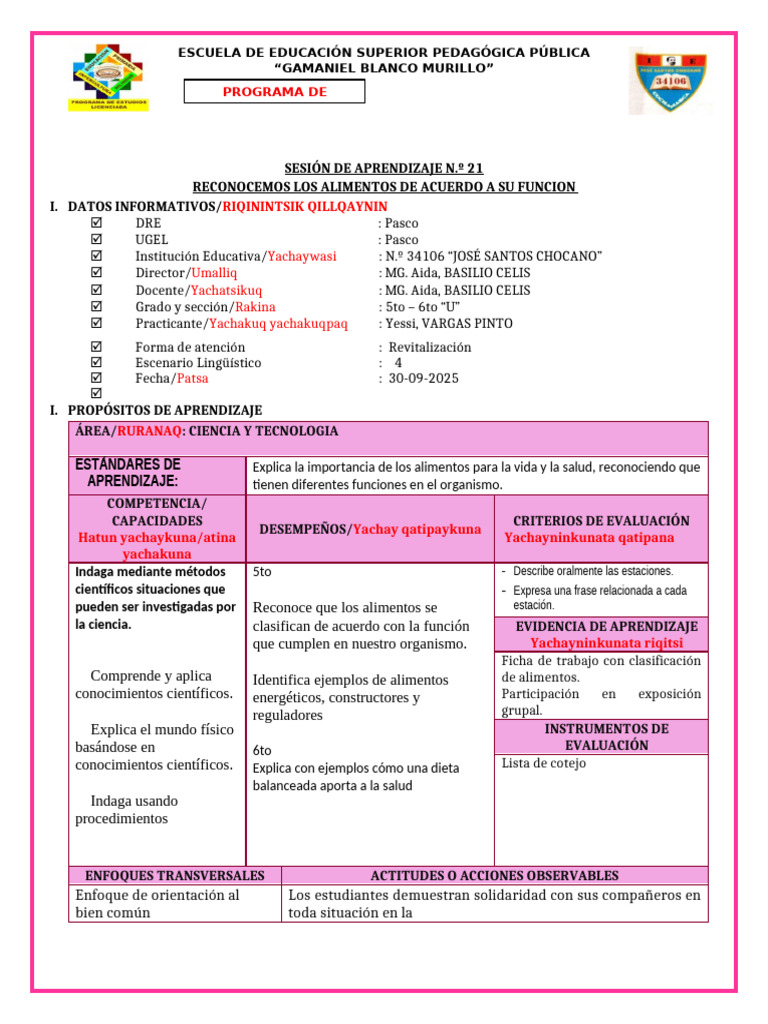 Sesionn N21 CIENCIA Y TECNOLOGIA | PDF | Alimentos | Maestros