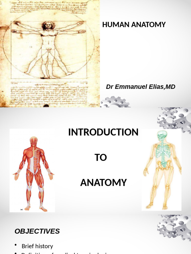 Human Anatomy: Structure and Terminology | PDF | Anatomical Terms Of ...