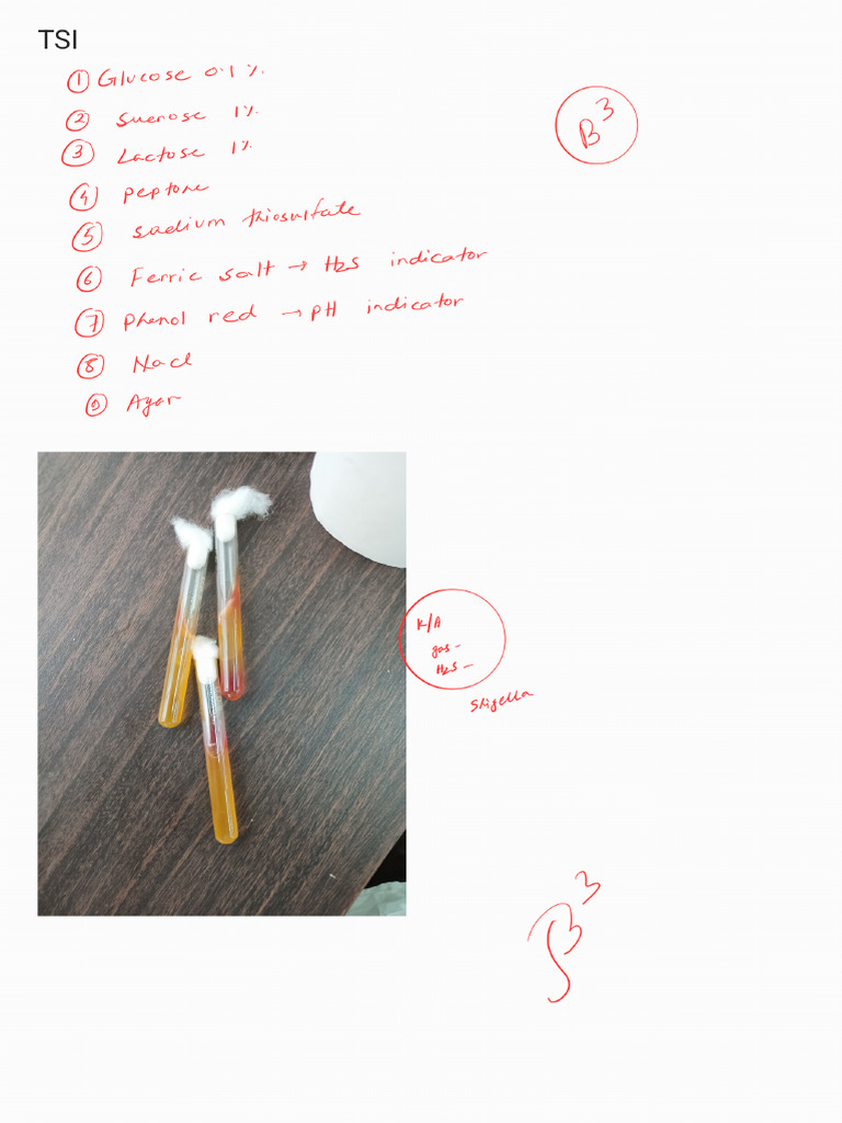 Meningitis chart_250629_101613_250812_203132 | PDF