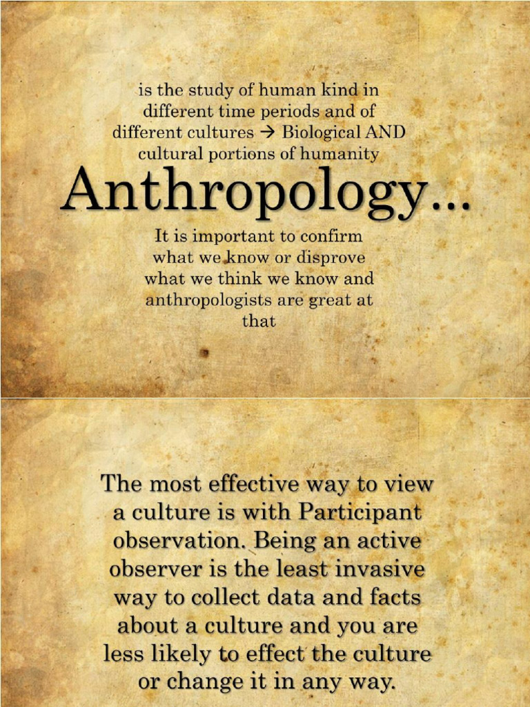 79144541 | PDF
