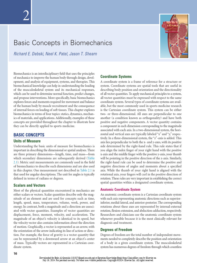 Basics of Biomechanics Explained | PDF | Force | Cartesian Coordinate ...