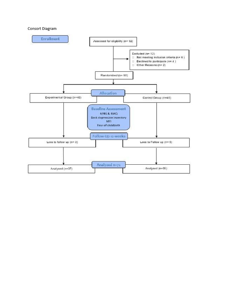 Consort Diagram | PDF