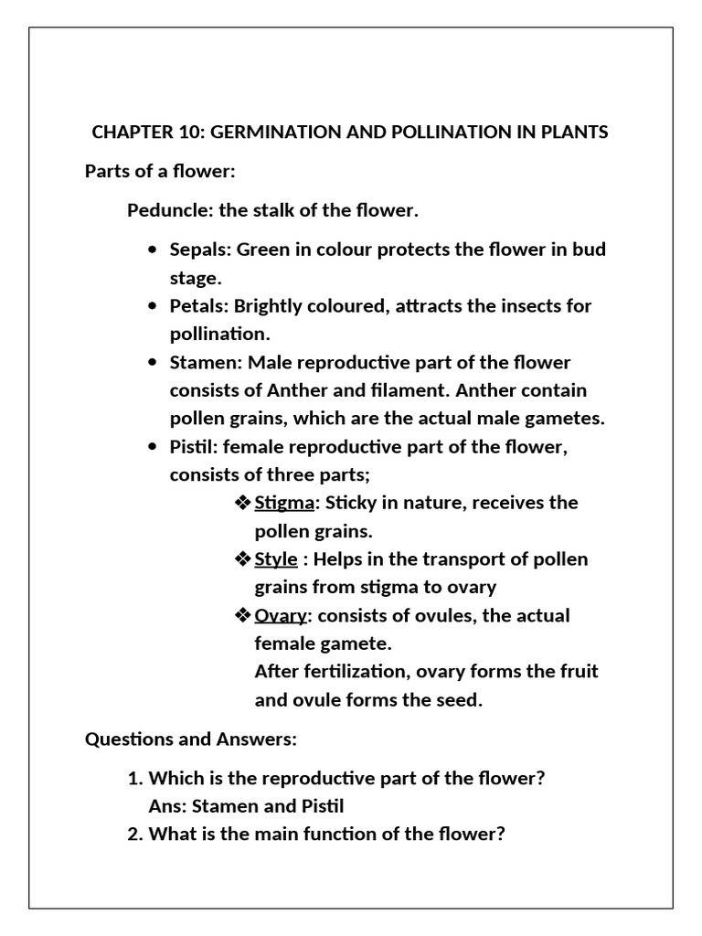 Germination and Pollination in Plants | PDF | Flowers | Pollination