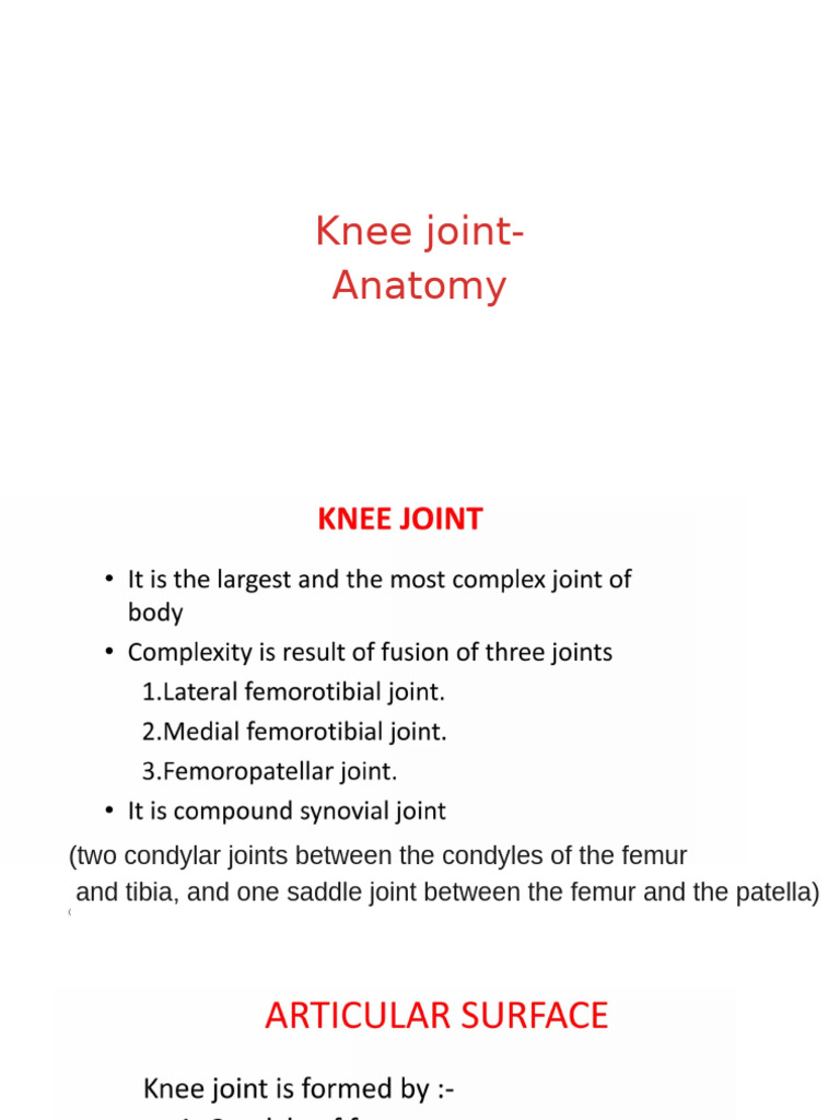 Knee Joint Anatomy Overview | PDF