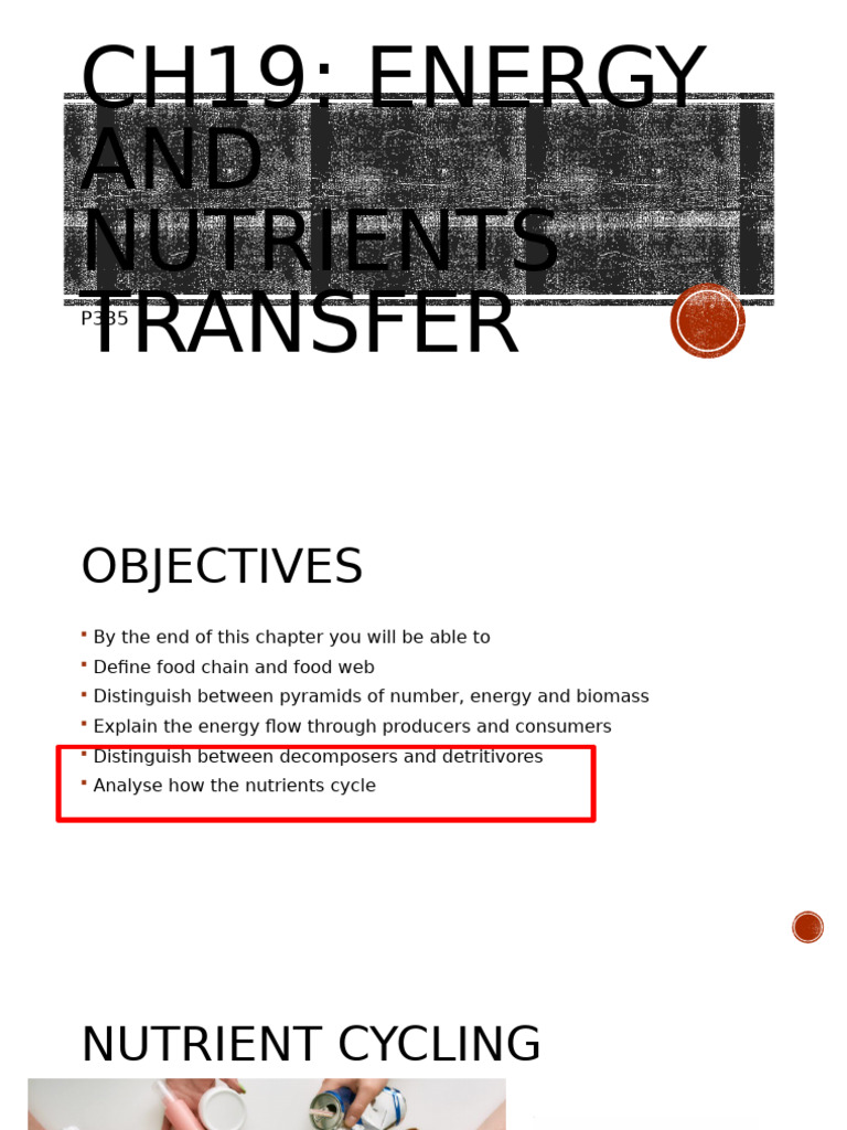Ch-19-Energy and Nutrient Transfer | PDF