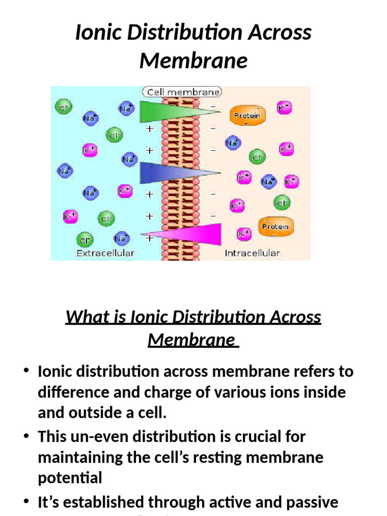 Ionic Distribution Diagrams | PDF