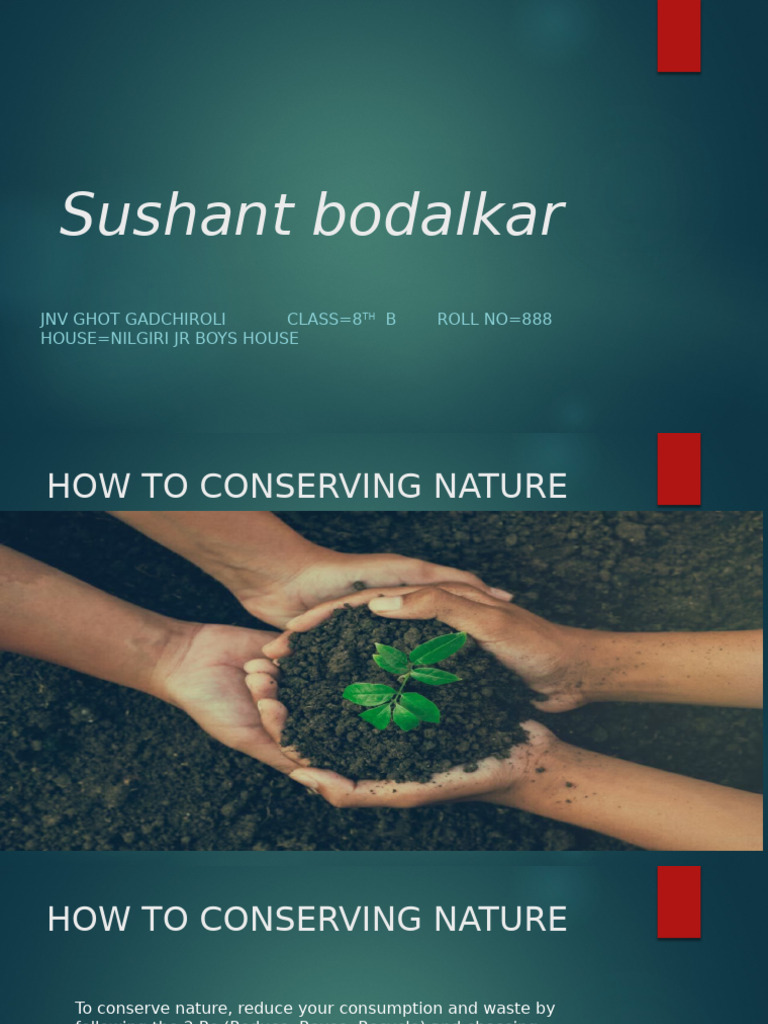 Nature Conservation Strategies Explained | PDF