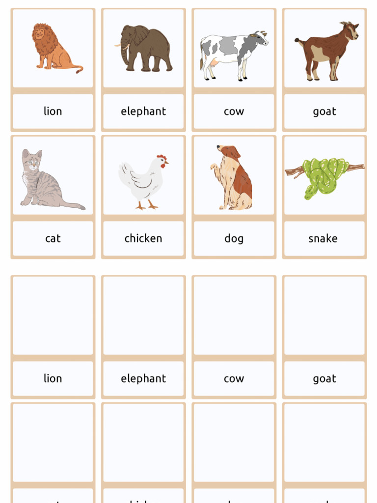 Biology Animals Flashcards in Colorful Illustrative Style | PDF