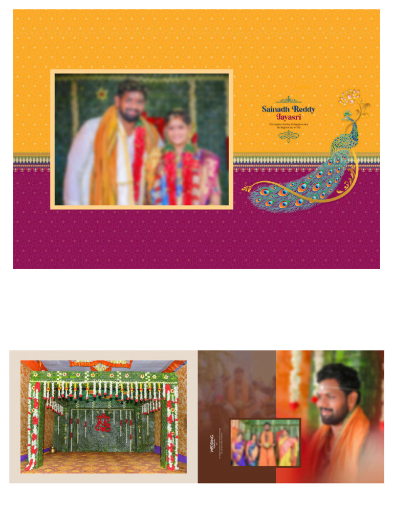 VIP 23 12x36 Album | PDF
