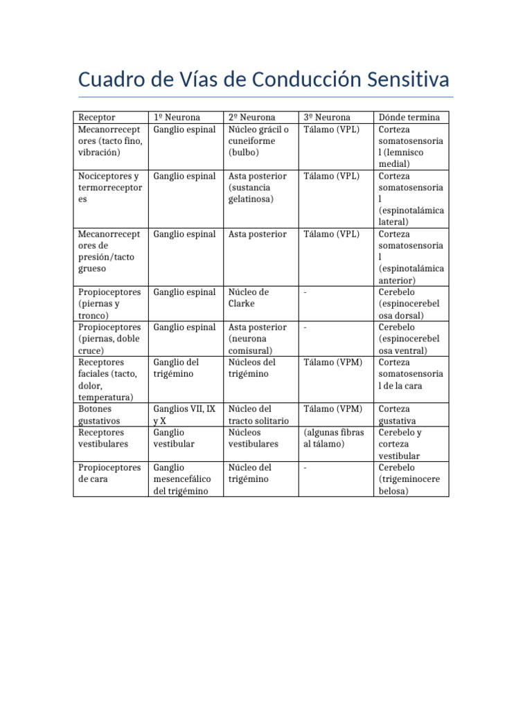 Cuadro Vias Conduccion Sensitiva | PDF | Cerebelo | Tálamo