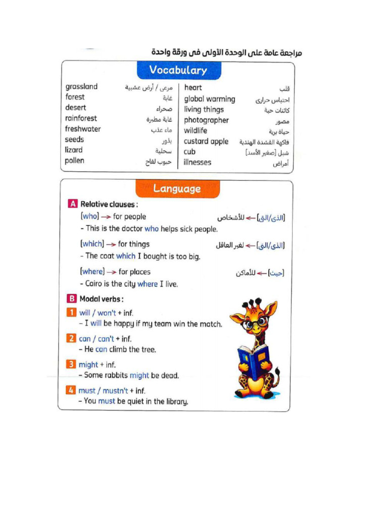 Connect Plus Prim 5 | PDF