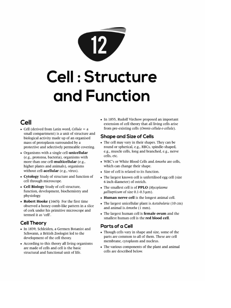 Cell Structure | PDF