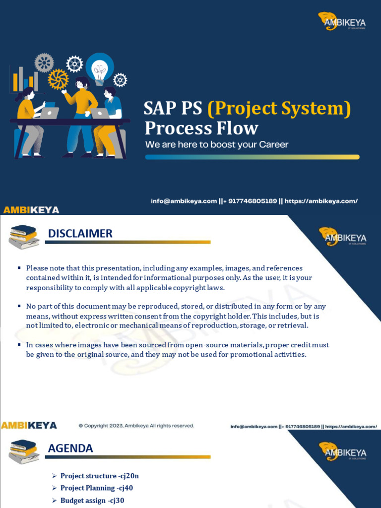SAP PS Project System Process Flow | PDF