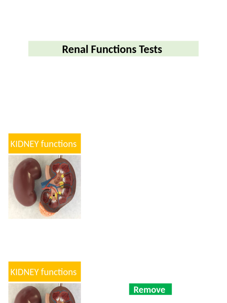 Comprehensive Guide to Renal Function Tests | PDF | Creatinine | Kidney