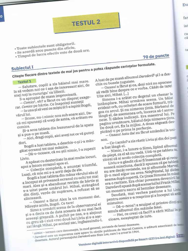 Varianta Caracterizare Art | PDF