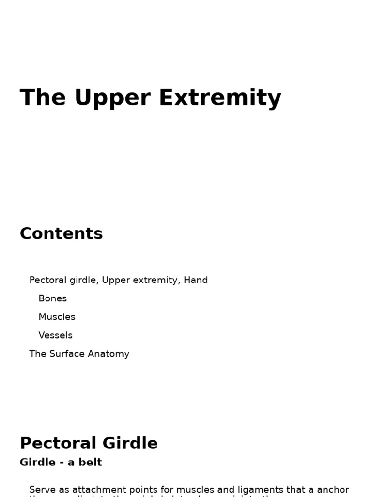 Upper Extremity Lab | PDF