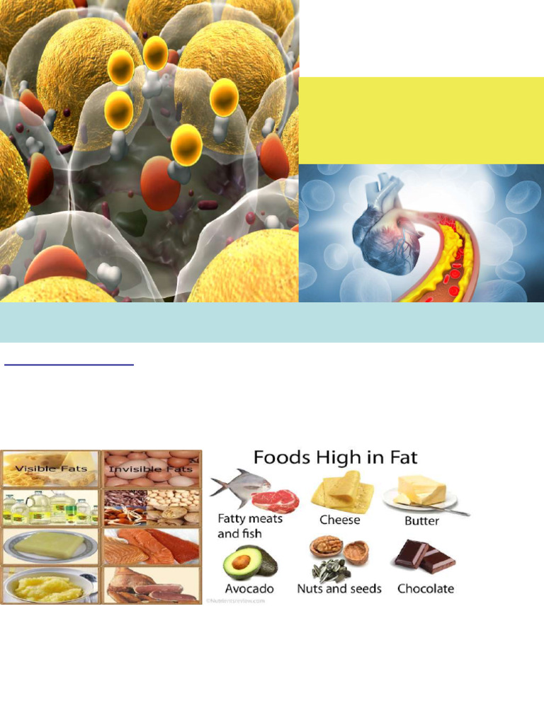 Lipid Digestion and Metabolism Overview | PDF | Ketosis | Adenosine ...