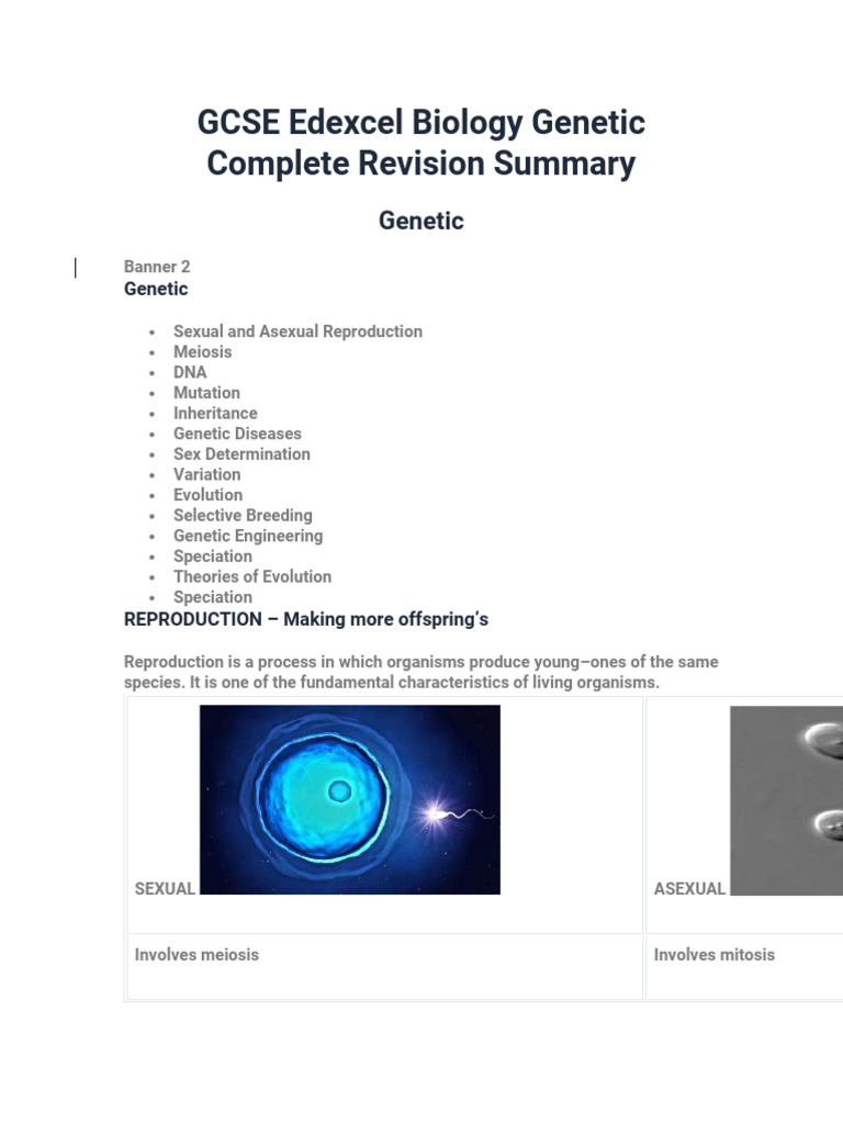 GCSE Edexcel Biology Genetic Revision Guide | PDF | Sexual Reproduction ...