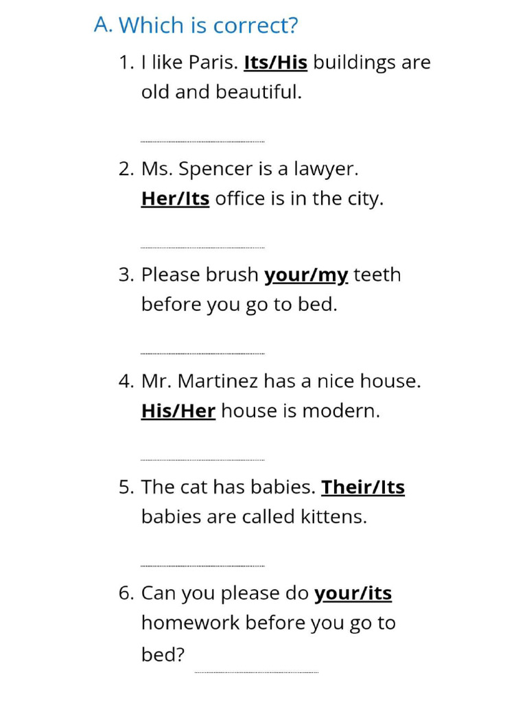Possessive Adjective Homework | PDF
