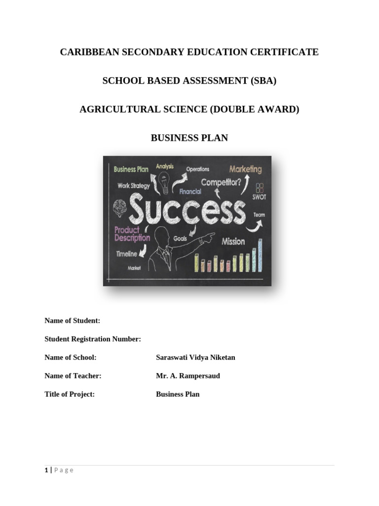 SBA Business Plan and Marketing Strategy | PDF | Pricing | Sales
