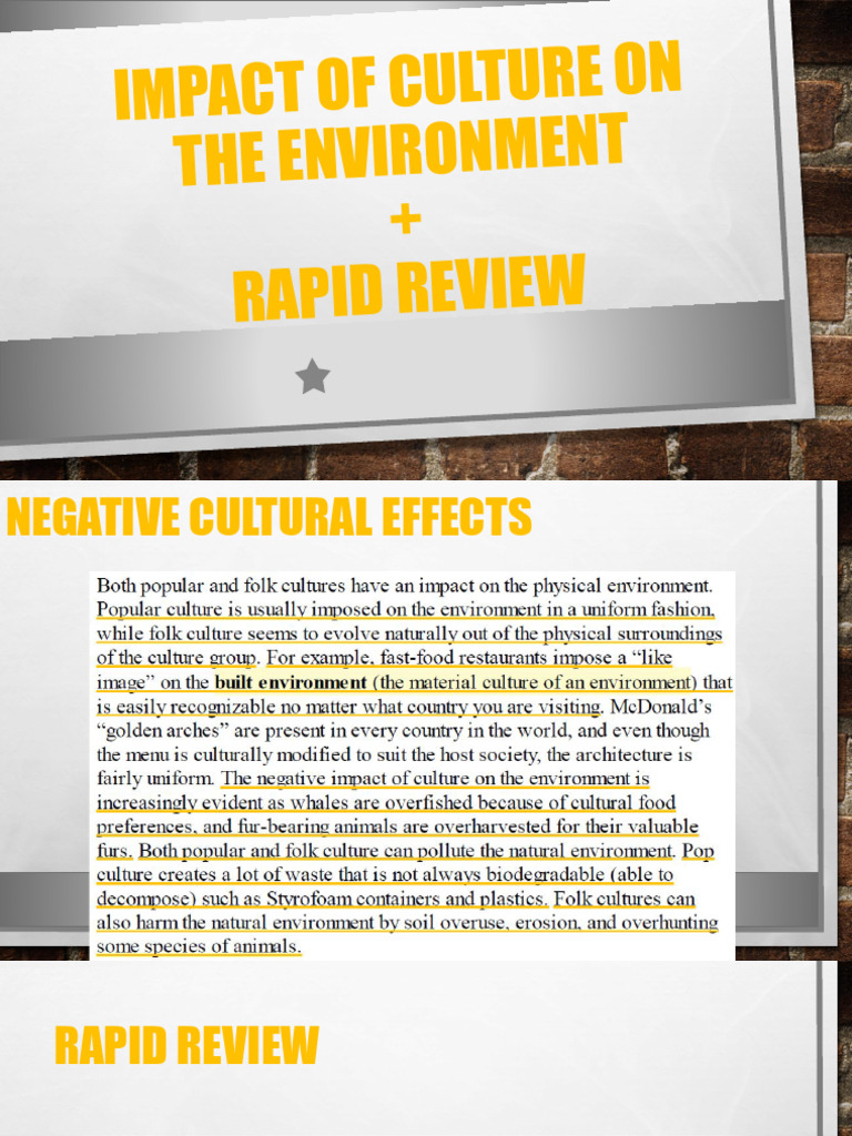 Impact of Culture On The Environment | PDF