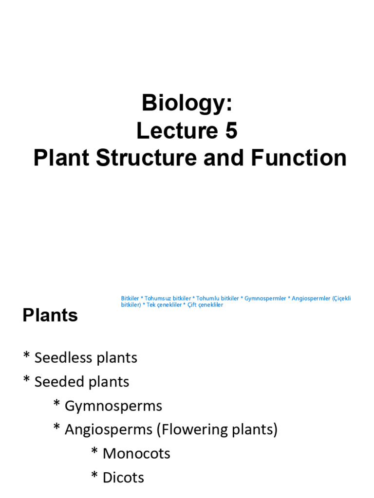 Plant Structure and Function | PDF