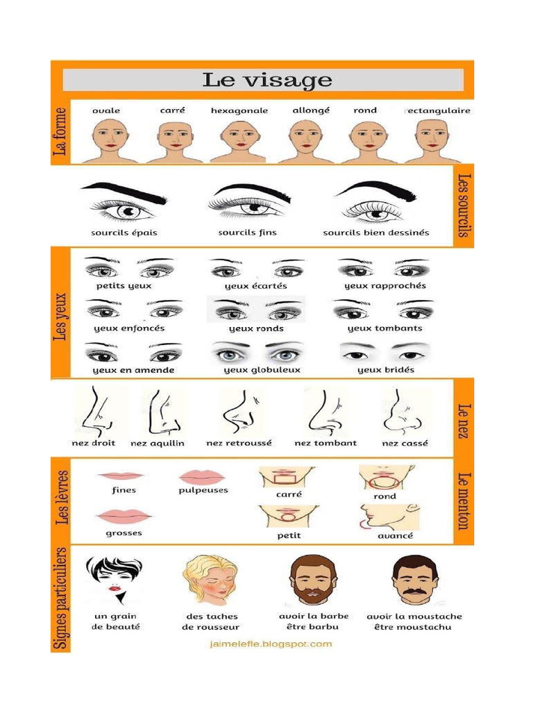 Traits Du Visage.docx (1) | PDF