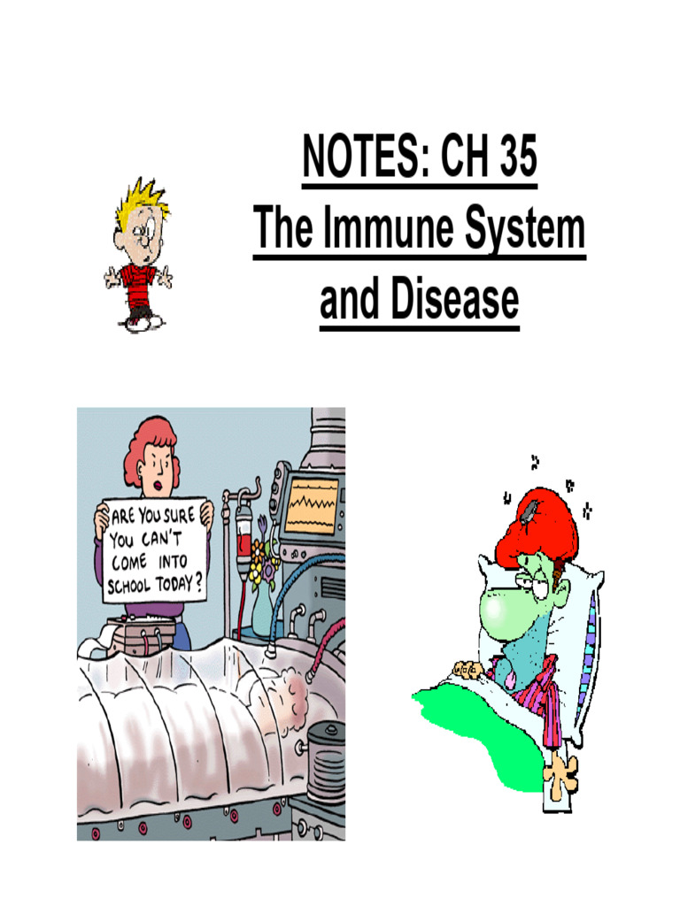 NOTES - CH 35 Immune System and Disease | PDF | Immune System ...