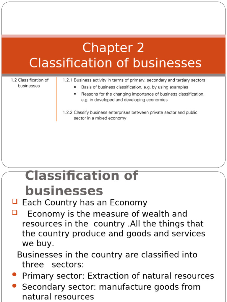 Chapter 2 Classification of Businesses | PDF