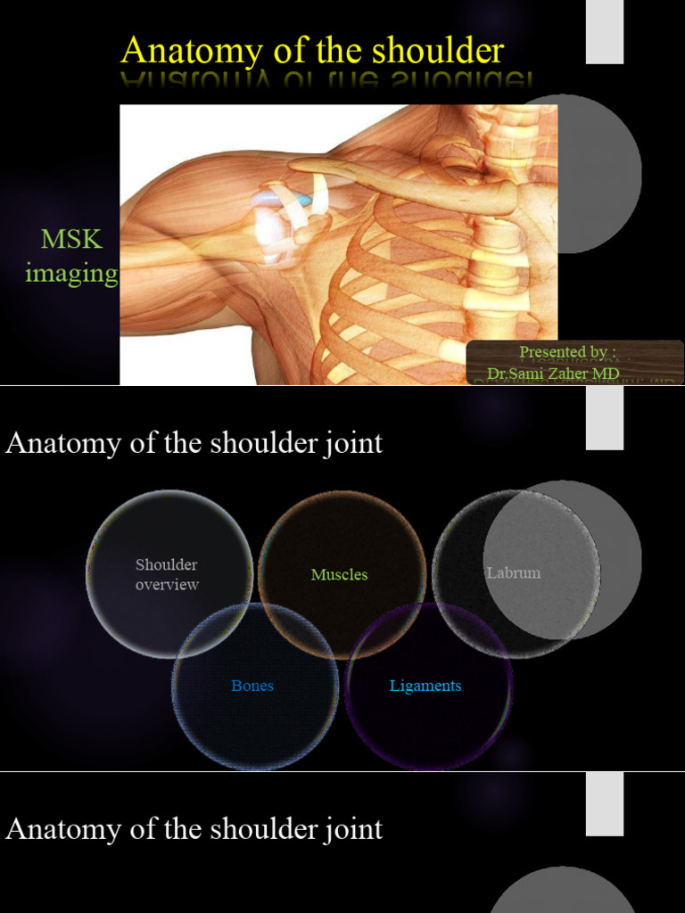 Lec4 Shoulder Joint | PDF | Shoulder | Anatomical Terms Of Motion