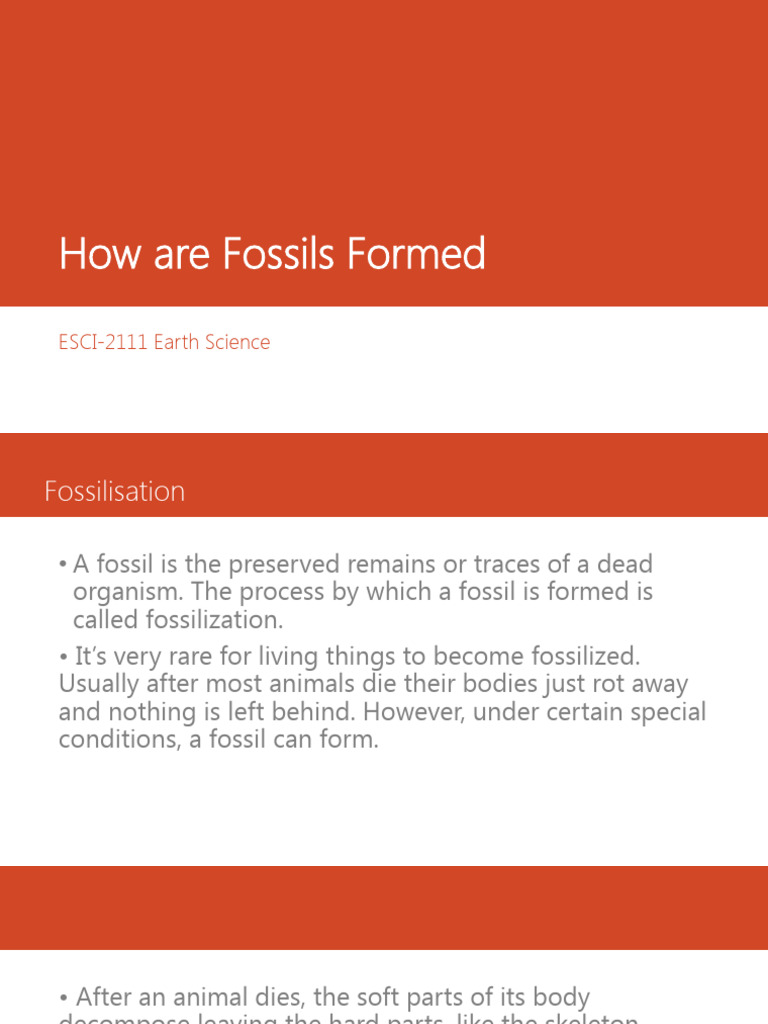Week 004 Presentation How Are Fossils Formed | PDF | Fossil | Seabed