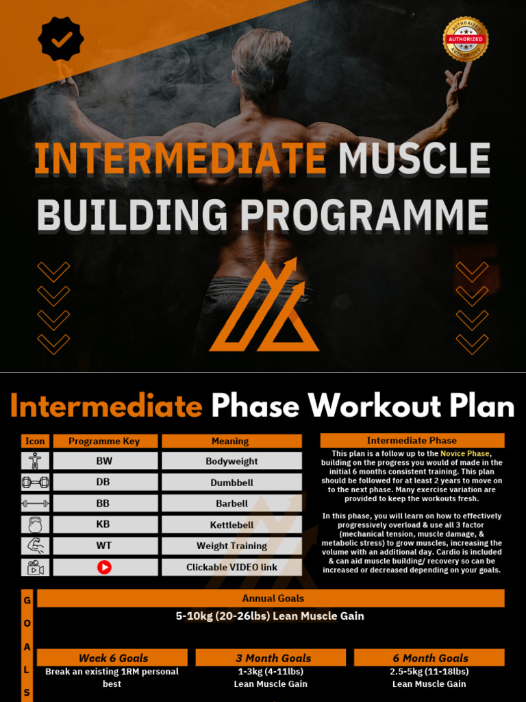 Intermediate Muscle Building Program | PDF | Aerobic Exercise ...