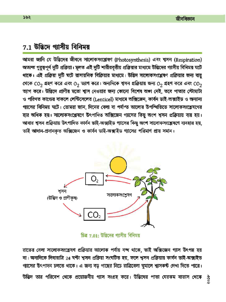 Chapter 7 & 8 | PDF