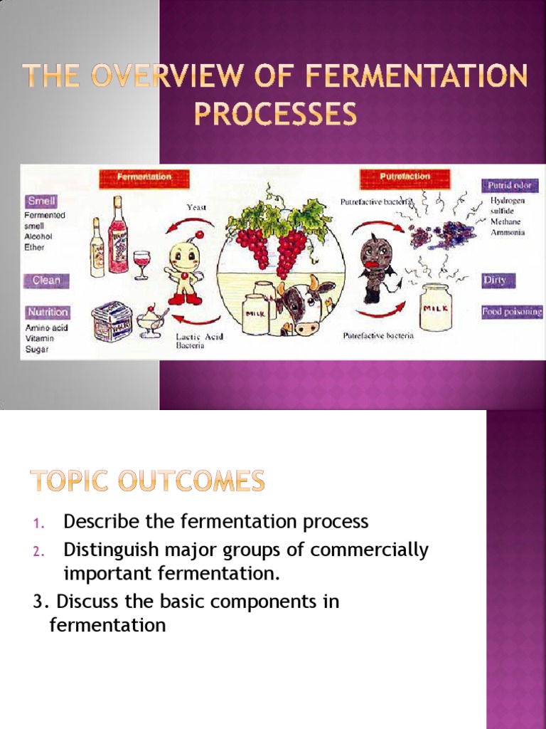 Overview Of The Fermentation Process Pdf Metabolism Fermentation