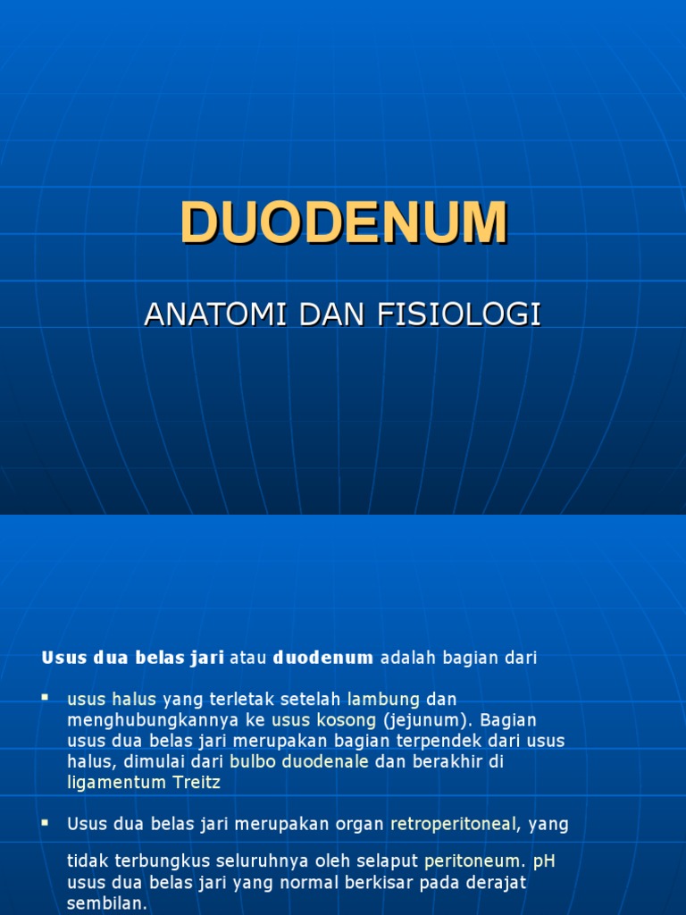 Anatomi dan Fungsi Duodenum Usus Halus | PDF | Kajian Bahasa Asing ...