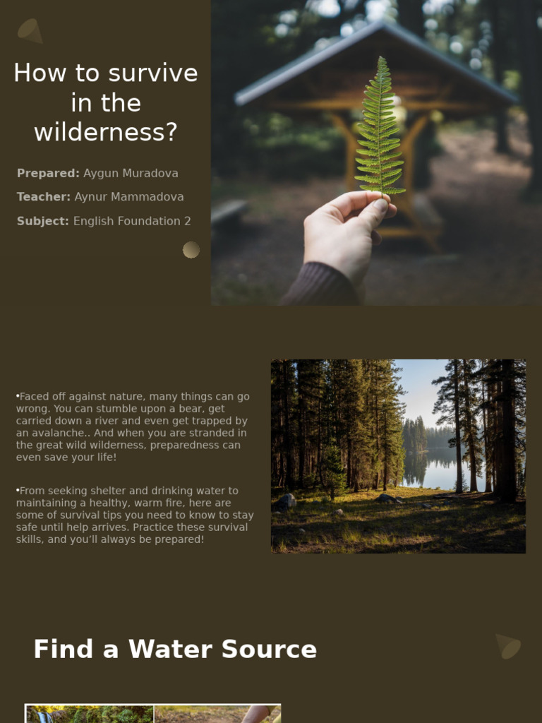 Essential Wilderness Survival Tips | PDF