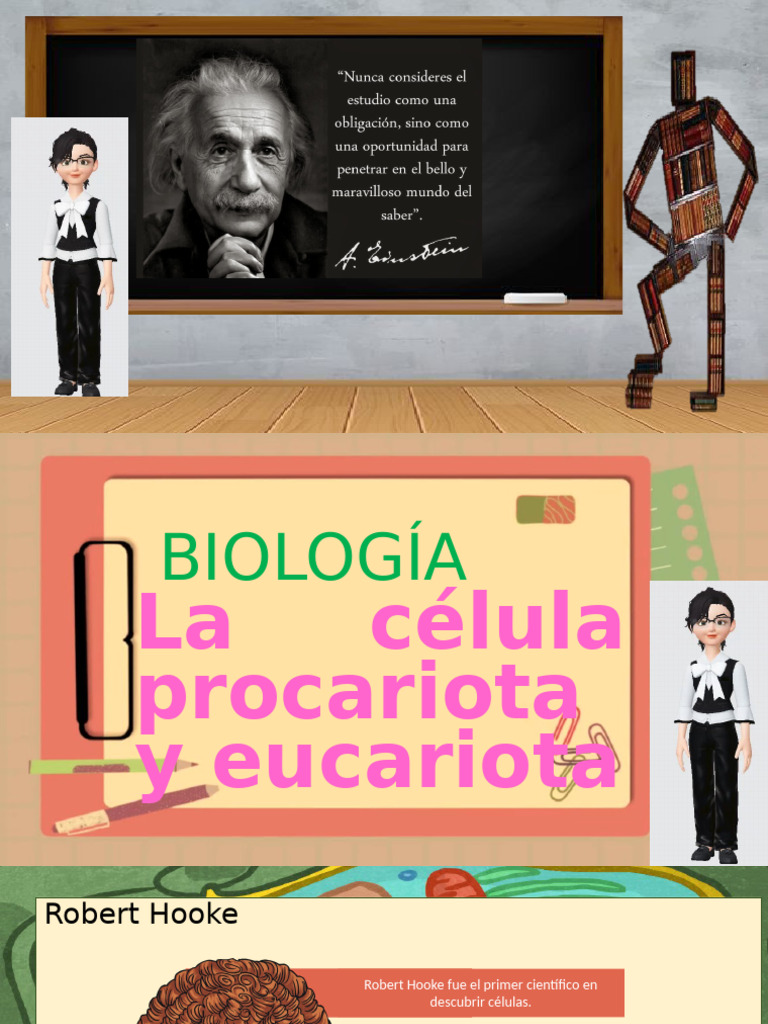1°biología Célula Procariota Eucariota | PDF | Biología Celular ...