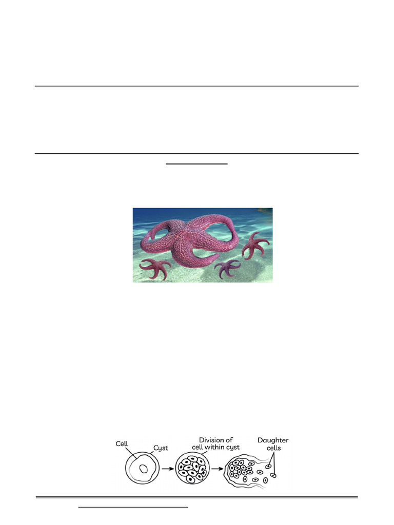 Sci Class X CH 07 How Do Organisms Reproduce | PDF | Flowers | Reproduction