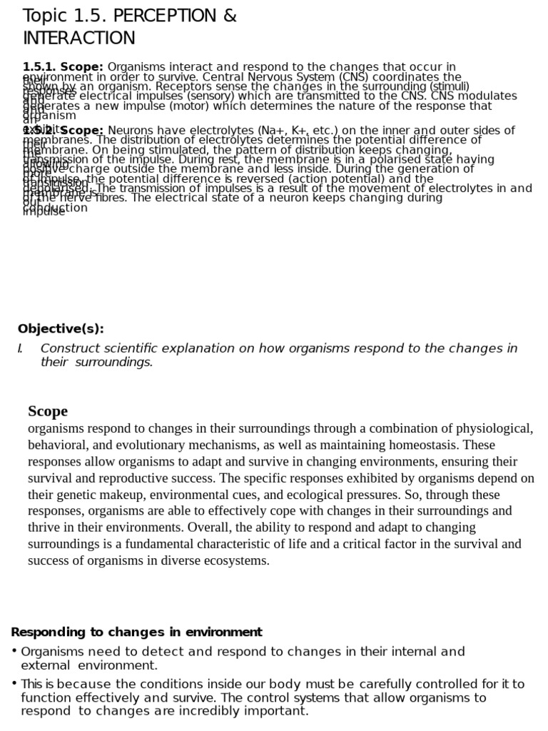 1.5 Perception & Interaction | PDF | Chemical Synapse | Action Potential