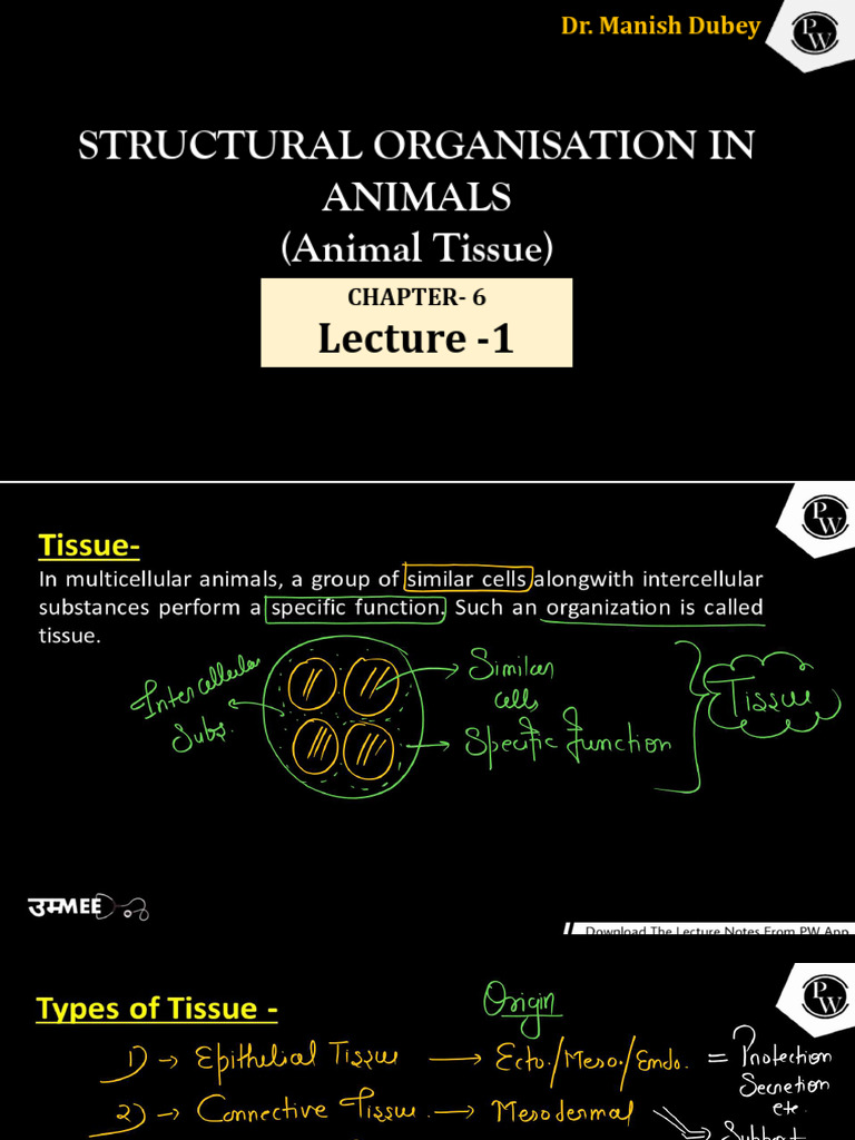 Structural Organisation in Animals (Animal Tissue) : Lecture - 1 | PDF