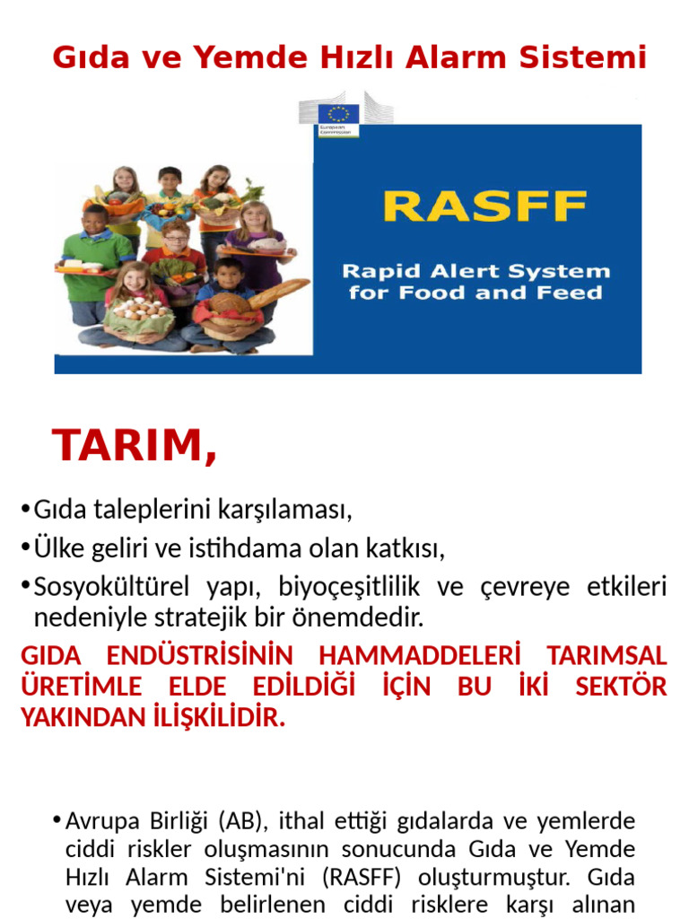 RASSF Sistemi | PDF