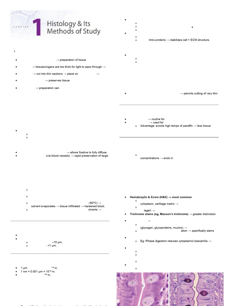 PREPARATION-OF-TISSUES-FOR-STUDY | PDF | Fixation (Histology) | Staining