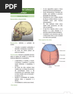 Anatomia da Tuberosidade Massetérica | PDF | Tecido macio | Sistema ...