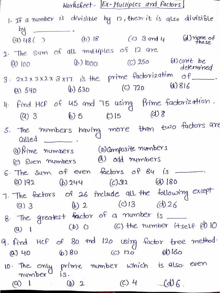 Worksheet Ch - 4 | PDF