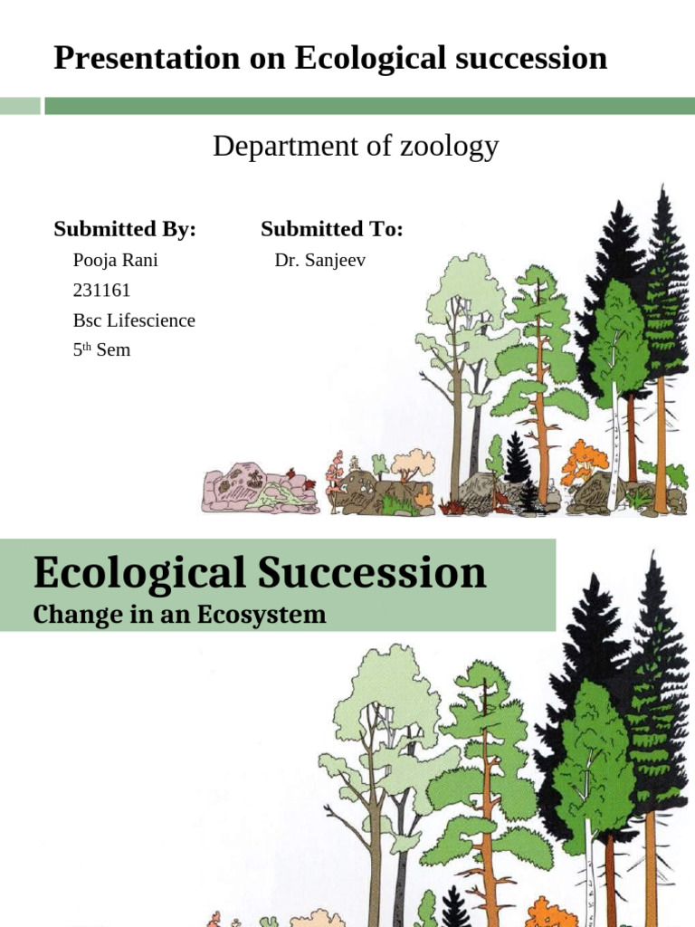 Ecological-Succession Semi Final | PDF | Soil | Ecosystem