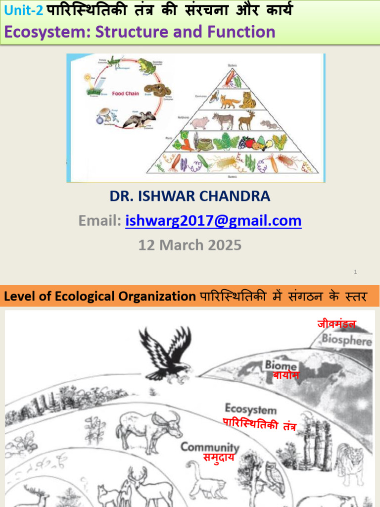 Unit-2 Structure and Function of Ecosystem | PDF | Ecosystem | Food Web