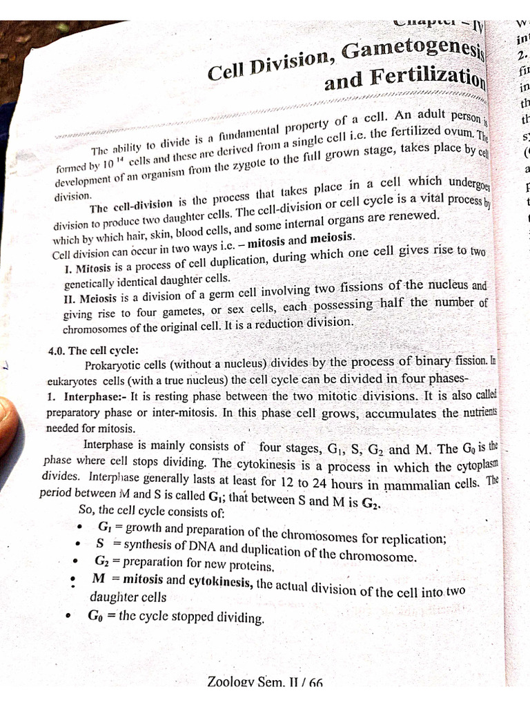 CELL Division, Gametogenesis, Fertilization | PDF