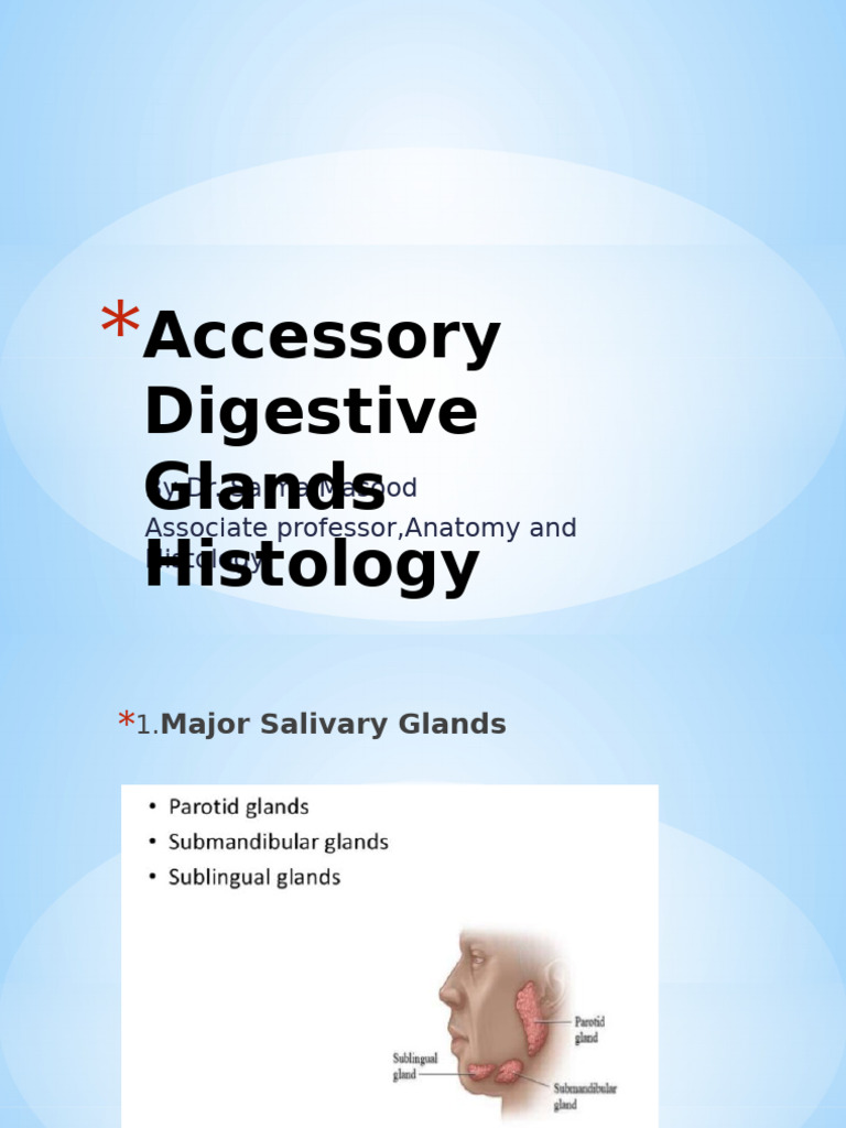 16A Accessory Digestive Glands (26!07!2021) | PDF