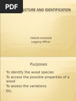 Apitong Tree: Characteristics and Uses | PDF | Home & Garden