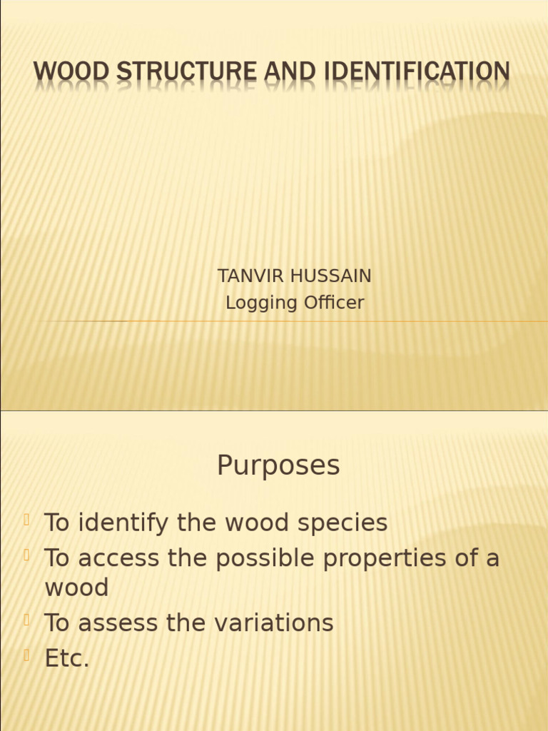 Wood Species Identification Guide | PDF | Wood | Tissue (Biology)